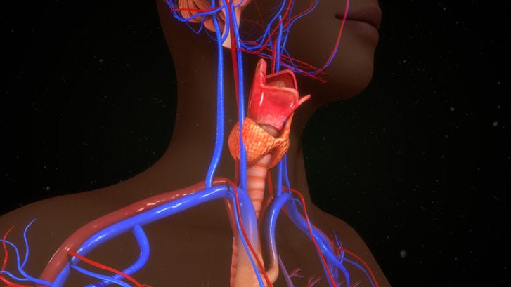 Thyroid Health - HealthWellnessMD - Dr. Maryann Prewitt